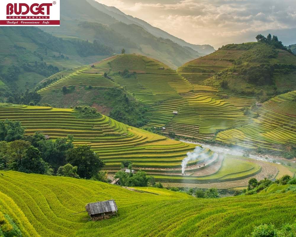 Y Ty Travel Guide You Should Know