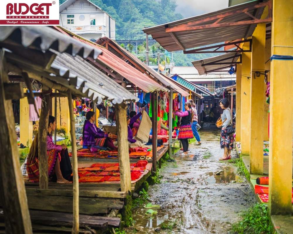 Y Ty Travel Guide You Should Know